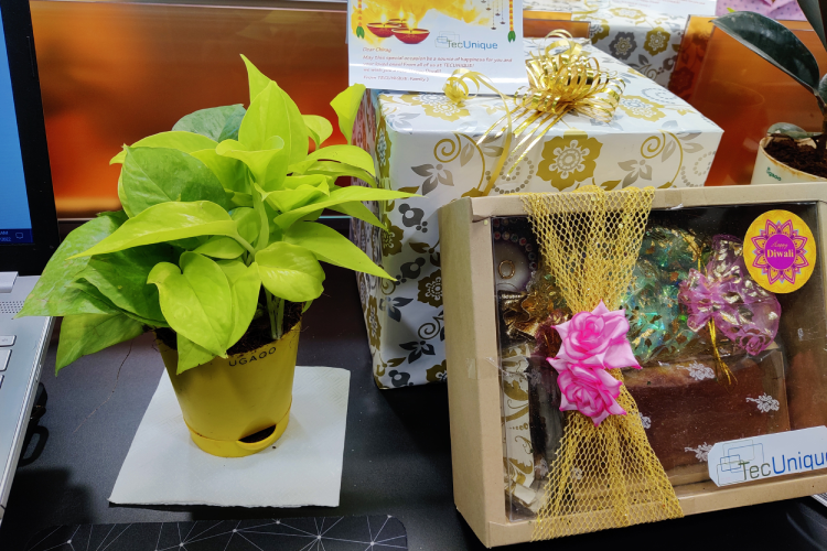 About Us - TECUNIQUE